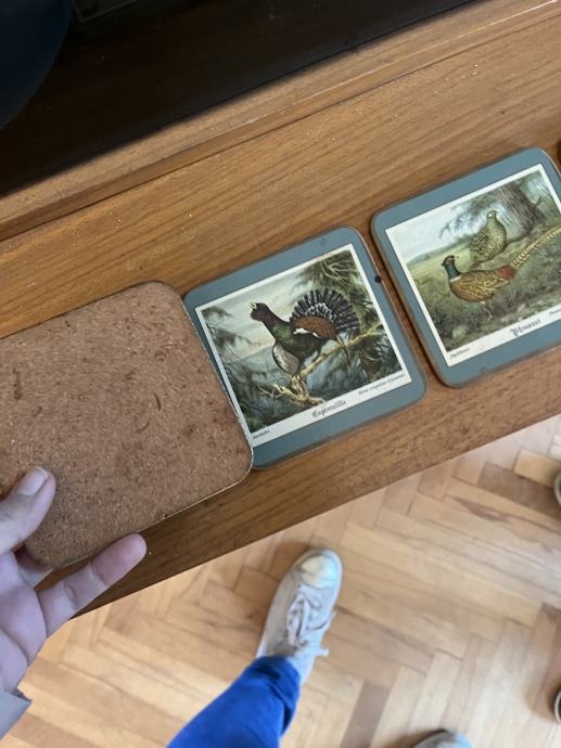 Kartonski podstavki za kozarce tematika ptic