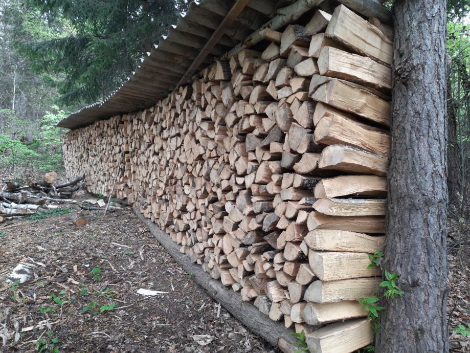 Suha brezova in jesenova drva