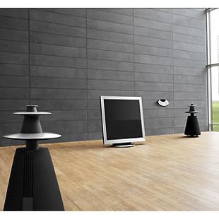 Bang Olufsen Beovision 5