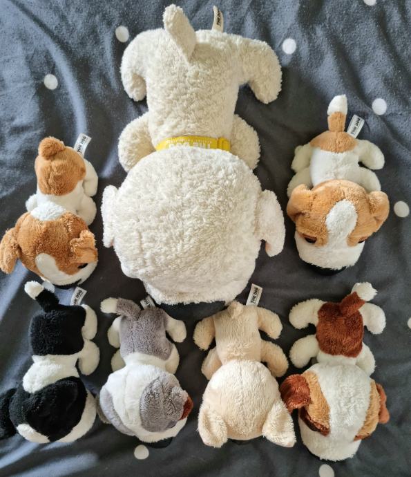 The dog plišaste igrače pliško kolekcija set komplet kužek pes kuža