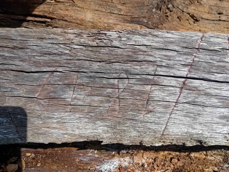 Hrastova preklada, star les, lesena preklada