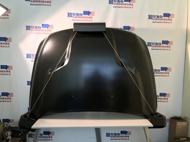 2012-2018 Dodge RAM 1500 Hood Bonnet (68160235AF)