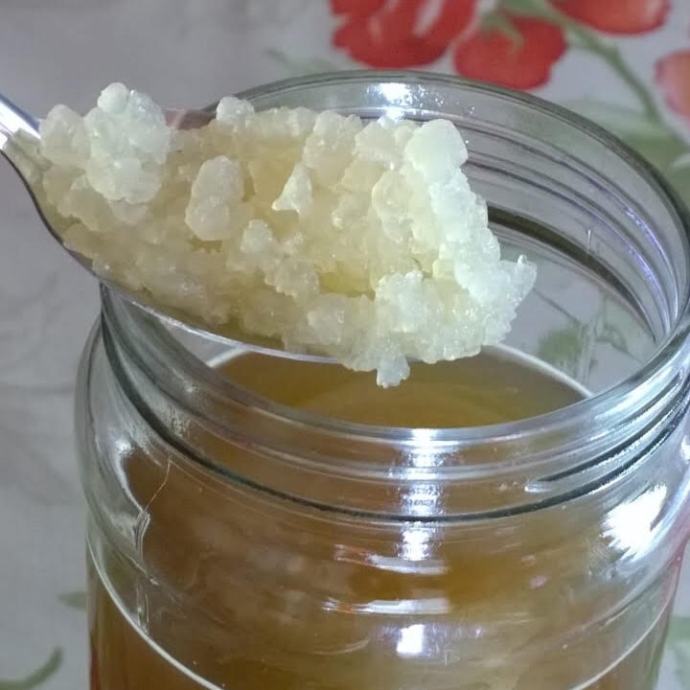 Zrnca za vodni kefir PODARIM