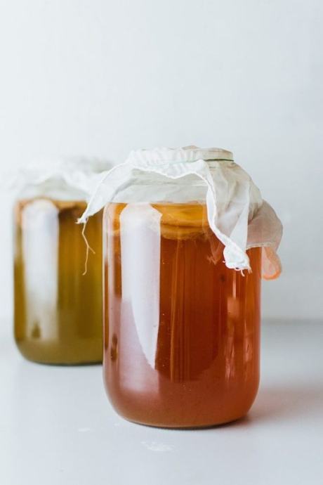 SCOBY - kombucha, kombuča, goba za fermentacijo