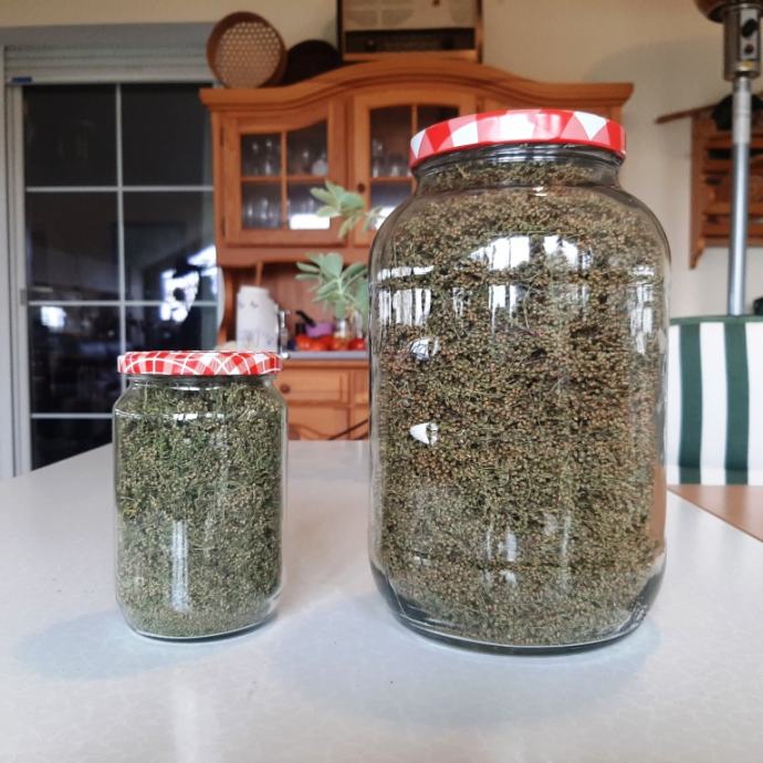 Sladki pelin čaj pakiran v steklenih kozarcih po 50g ali 200g prodam.