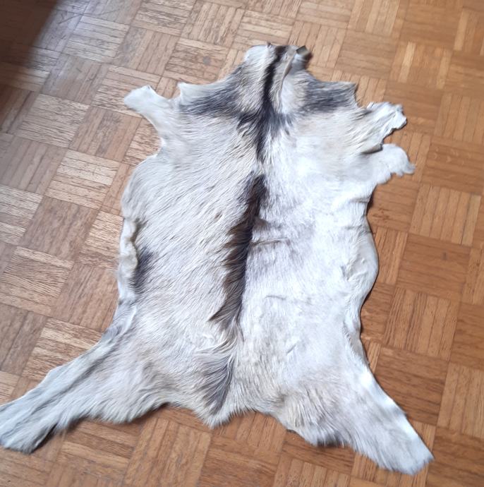 Strojena kozja koža 2 kom
