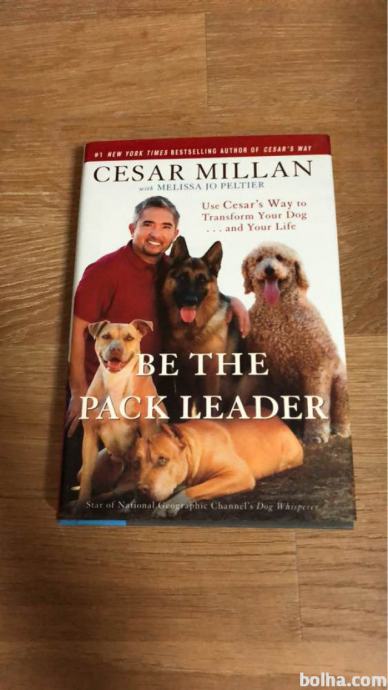 Be the pack leader