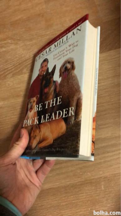 Be the pack leader