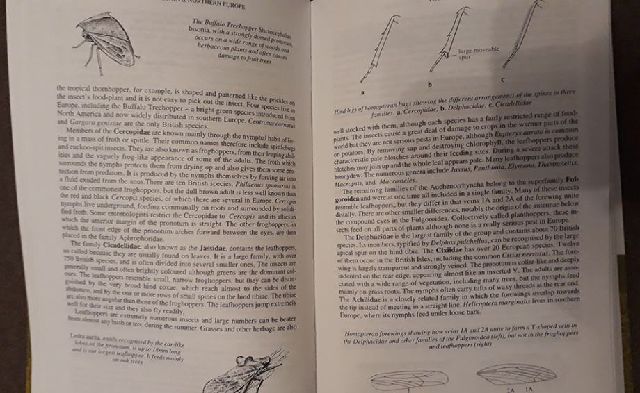 Collins field guide on INSECTS of Britain and Northern Europe