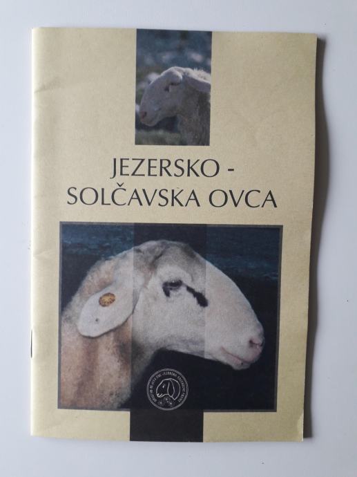 JEZERSKO SOLČAVSKA OVCA