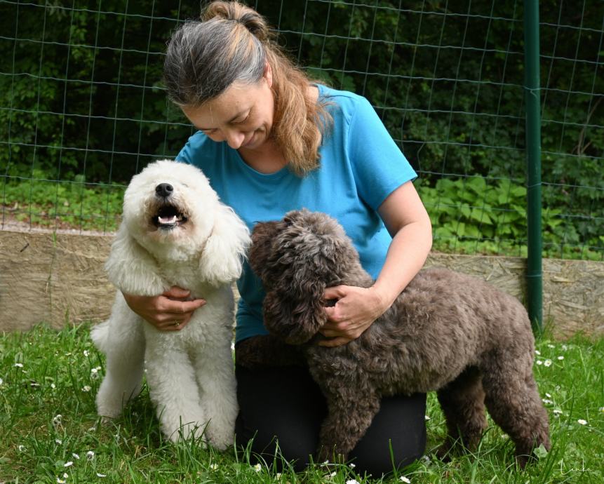ČRNI COCKAPOO , COCKAPOO SLOVENIJA