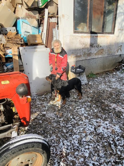 Prodam ROTWAILERJA, STAREGA 3 LET, SOCIALIZIRANEGA IN Z VSO dokument.