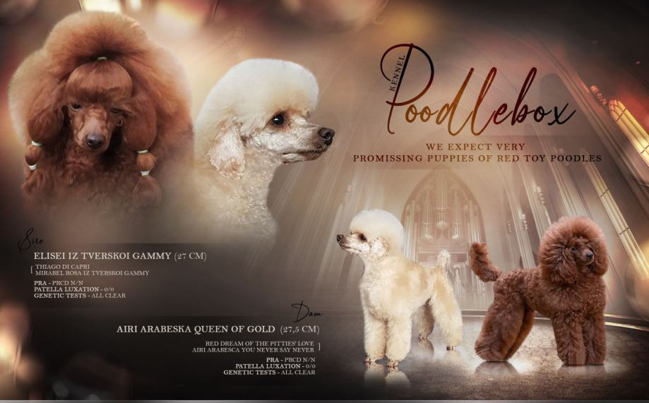 Predvideno leglo Toy kodrov