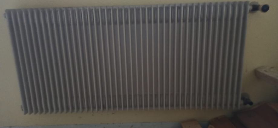 Radiatorji rebrasti