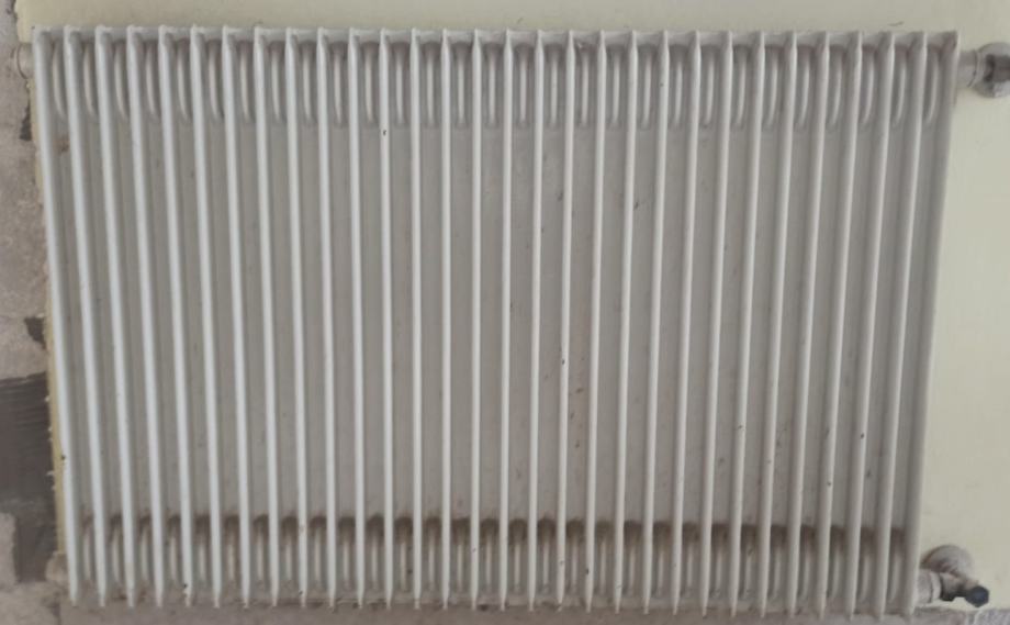 Radiatorji rebrasti