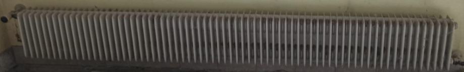 Radiatorji rebrasti