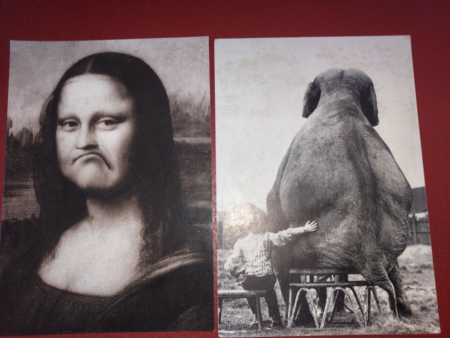 Razglednica Mona Liza,umetniška slika, rože.in slon