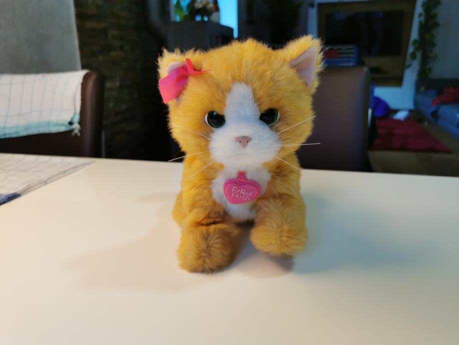 Muca, kot nova-Hasbro FurReal Friends Daisy Plays-With-Me Kitty Toy,