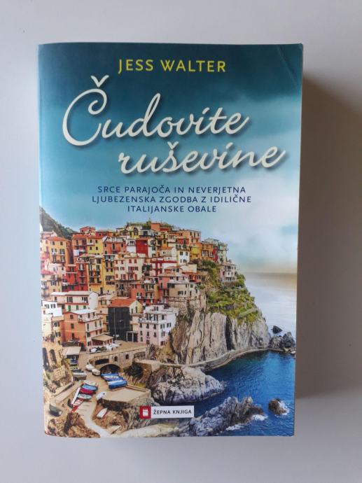 JESS WALTER, ČUDOVITE RUŠEVINE