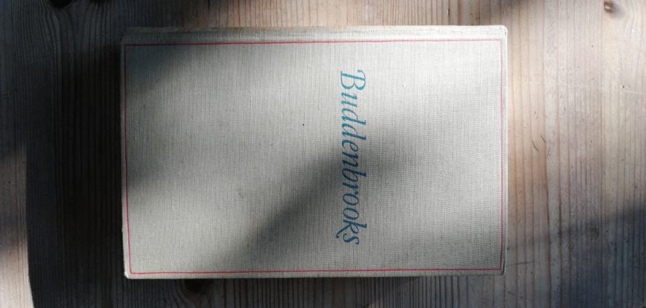 Thomas Mann: Die Buddenbrooks