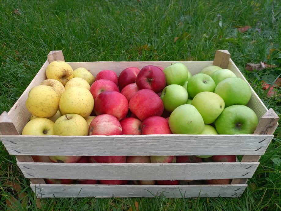 Jabolka in hruške
