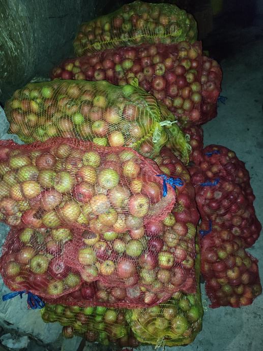 Jabolka stara sorta okol. Pivke