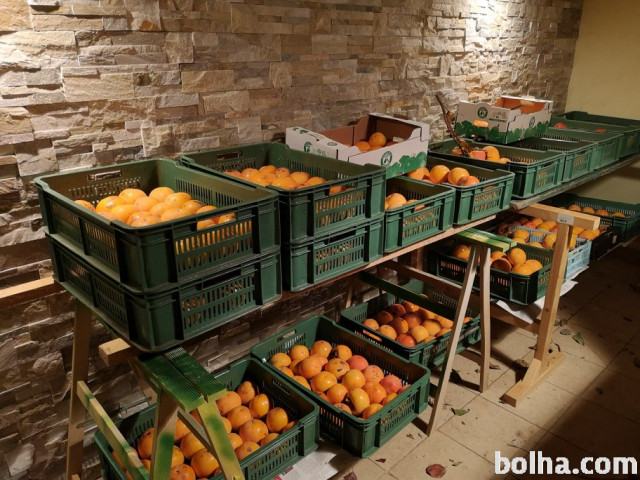 Prodam domači bio kaki 2,00 eur/kg in bio kivi (aktinidija)