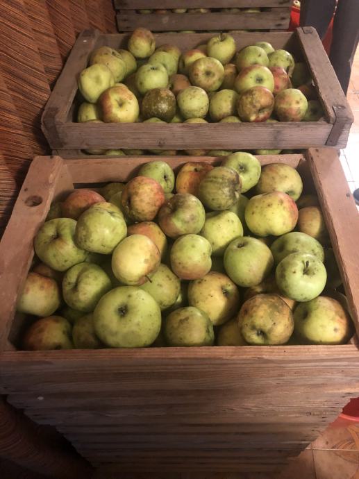 Prodam jabolka - jonagold in idared