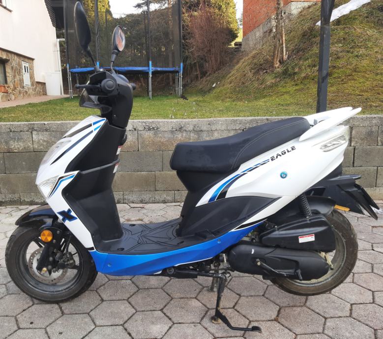Druge znamke Longjia Eagle / 25 49 cm3, 2021 l.