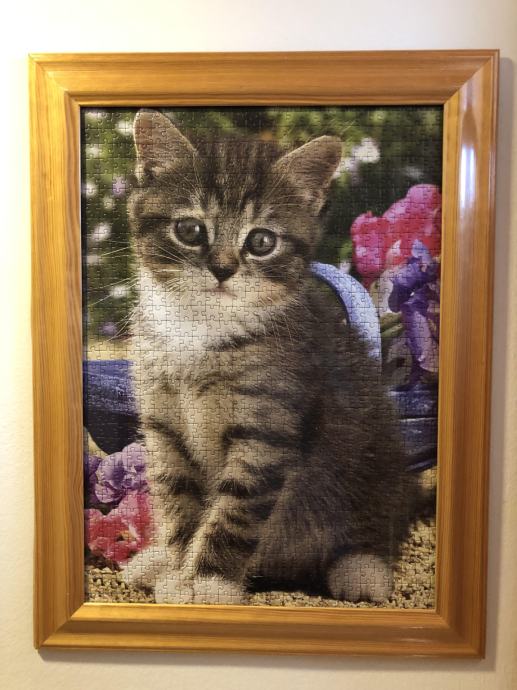 Ravensburger Puzzle (sestavljanka 1000 kos) - Slika mačke 80 cm x 60cm