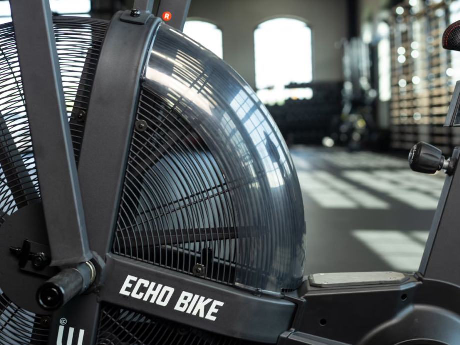 ROGUE ECHO BIKE