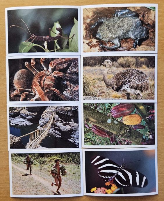 Spar Stickermania Inki sličice - VSE