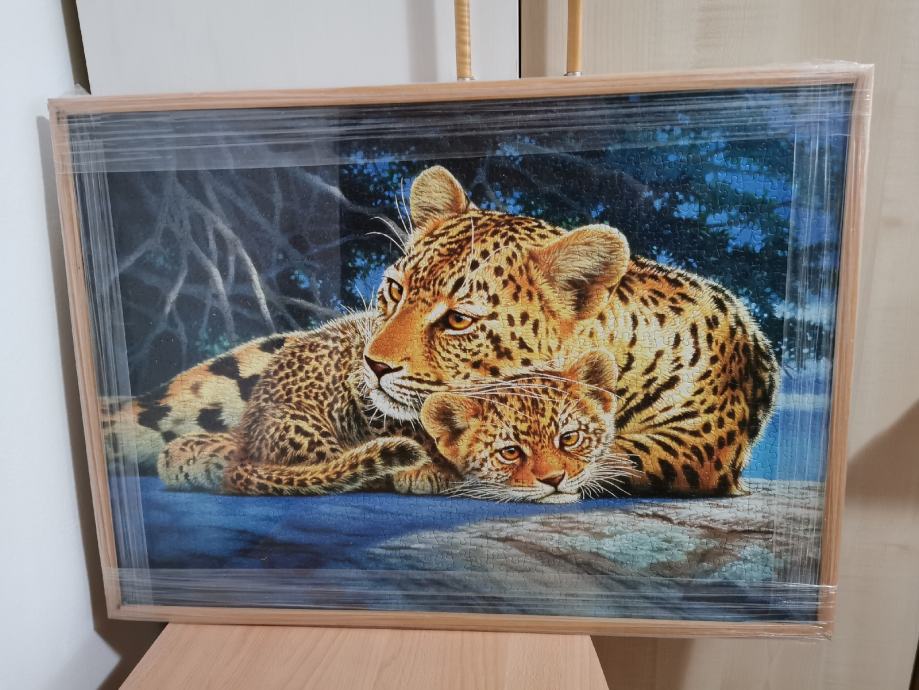 Slika puzzle v okvirju