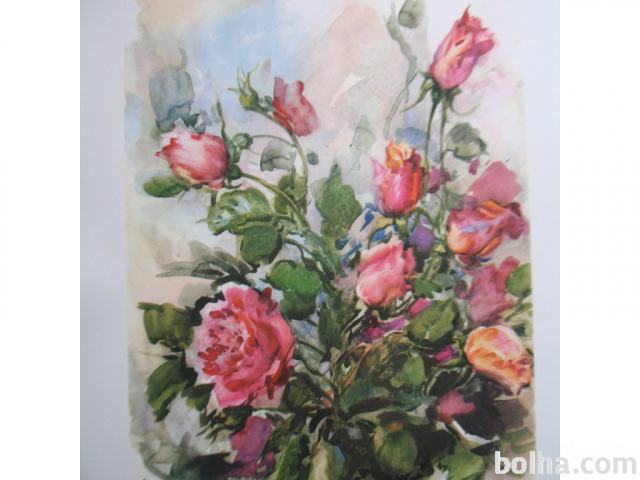 Akvarel grafika vrtnice 44cm x 34cm karton 200g