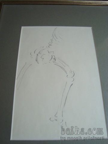 risba Mateja Sternena