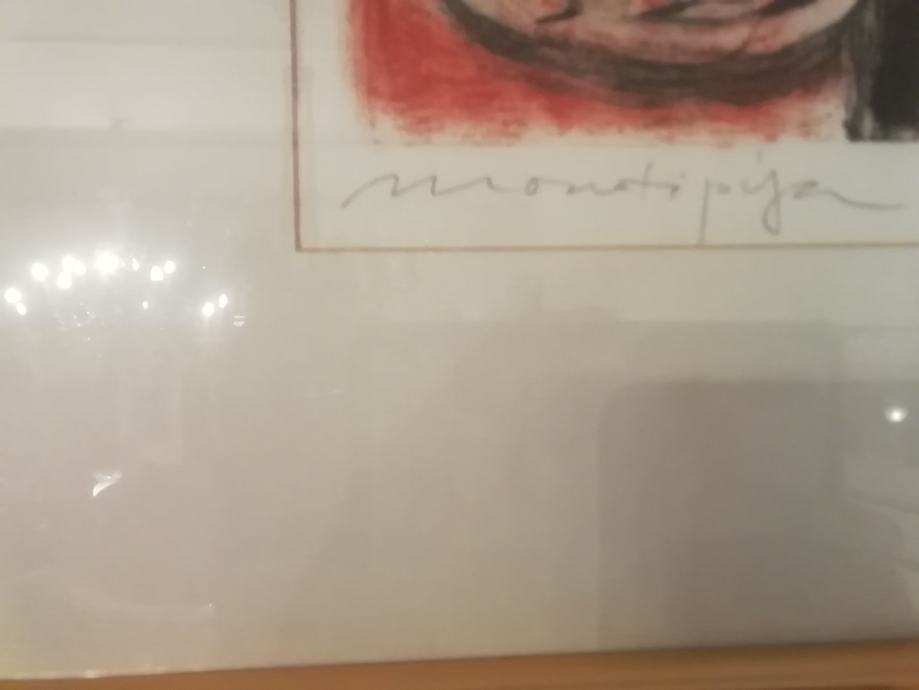 SLIKA LEON ZAKRAJSEK