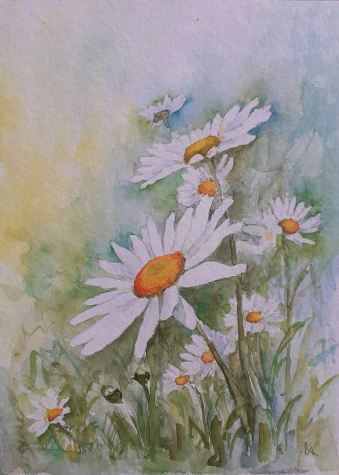 Umetniška slika Pokrajina/Cvetje/Marjetice/Travnik