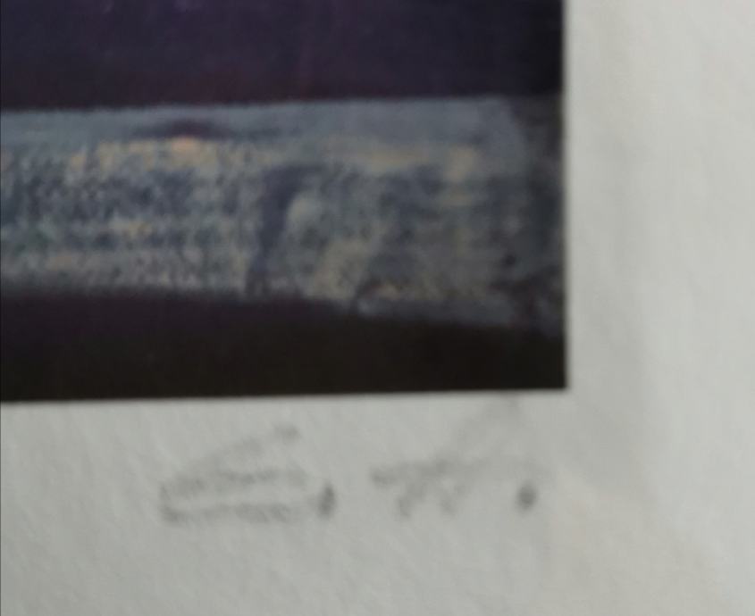 UMETNIŠKA SLIKA - GRAFIKA SVETOVNO ZNANEGA UMETNIKA CHARLES BILICH