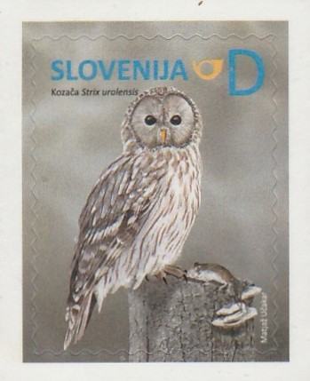 SLOVENIJA - (MI.1062) KOZAČA
