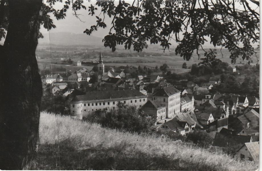 Razglednica - Metlika - Grad (ZZ)