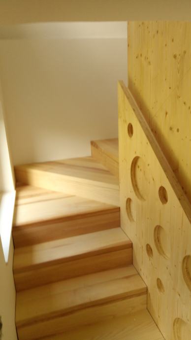 SAMONOSNE LESENE STOPNICE