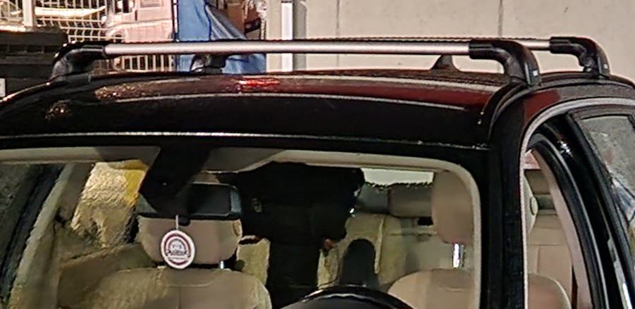 Thule Silver wing BMW