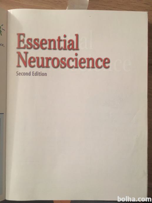 Essential Neuroscience 2ND EDITION Paperback