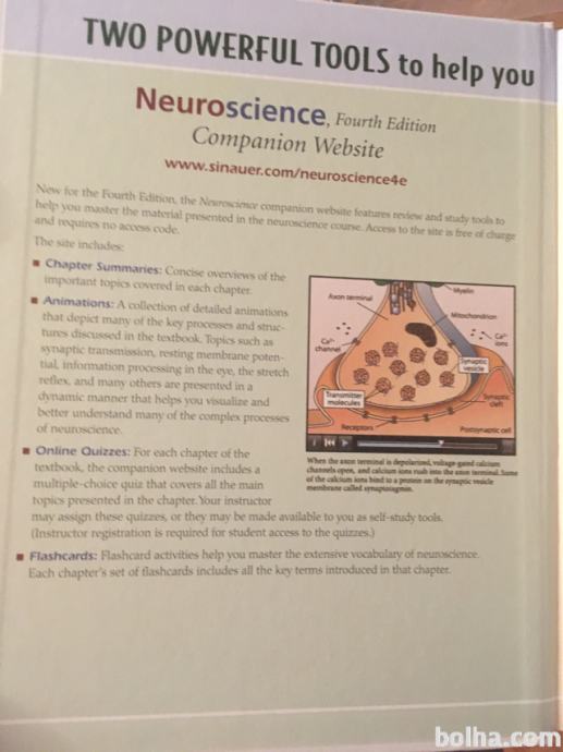 Neuroscience, Fourth Edition
