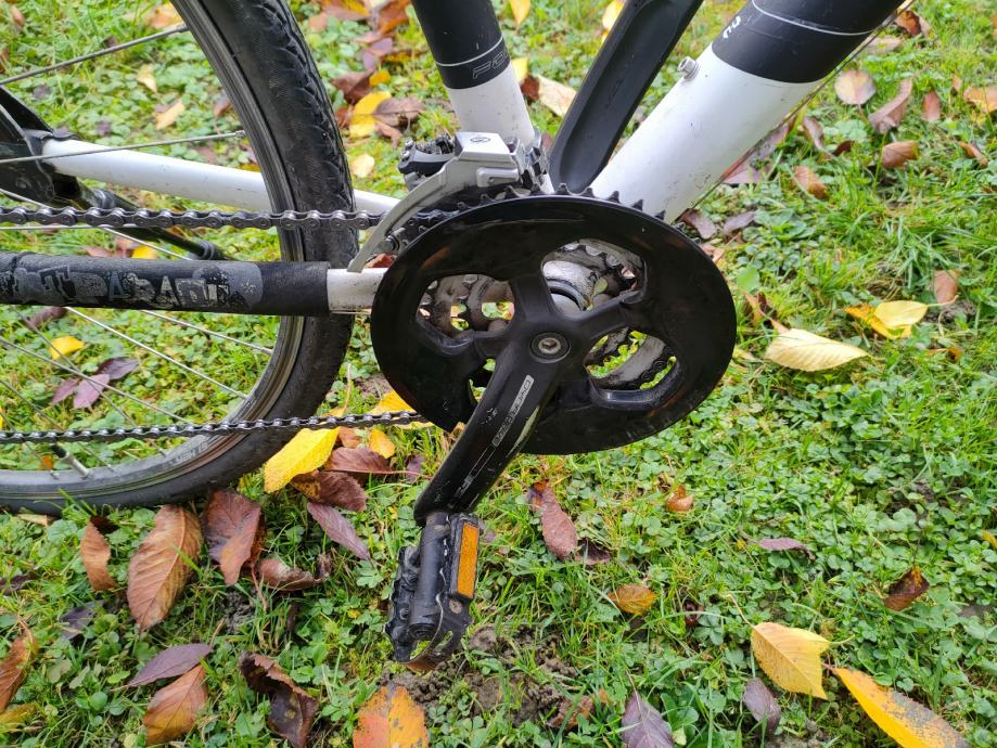 Focus cross kolo - Žensko M