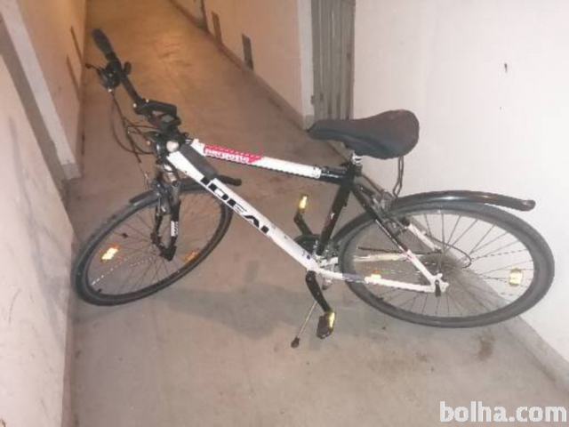 IDEAL NERGETIC L velikost okvirja 53 za 180 cm