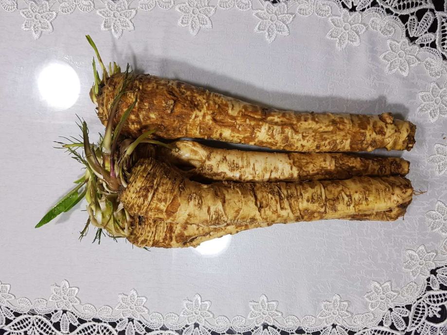 Domači HREN