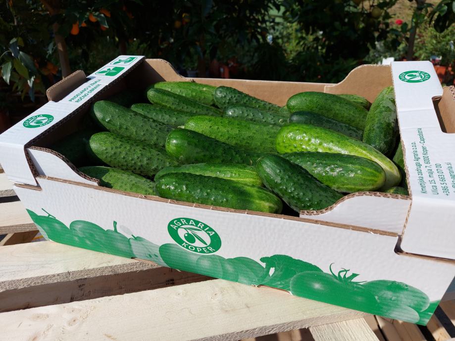BIO KUMARE KZ AGRARIA KOPER (ZABOJ 9 KG)-Brezplačna dostava v Lj