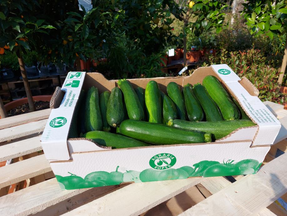 DOMAČE BIO BUČKE KZ AGRARIA KOPER (ZABOJ 9 KG)-Brezplačna dostava v Lj