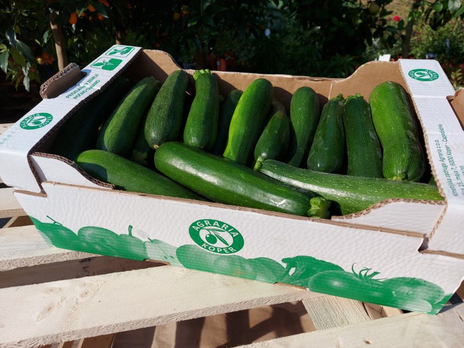 DOMAČE BIO BUČKE KZ AGRARIA KOPER (ZABOJ 9 KG)-Brezplačna dostava v Lj